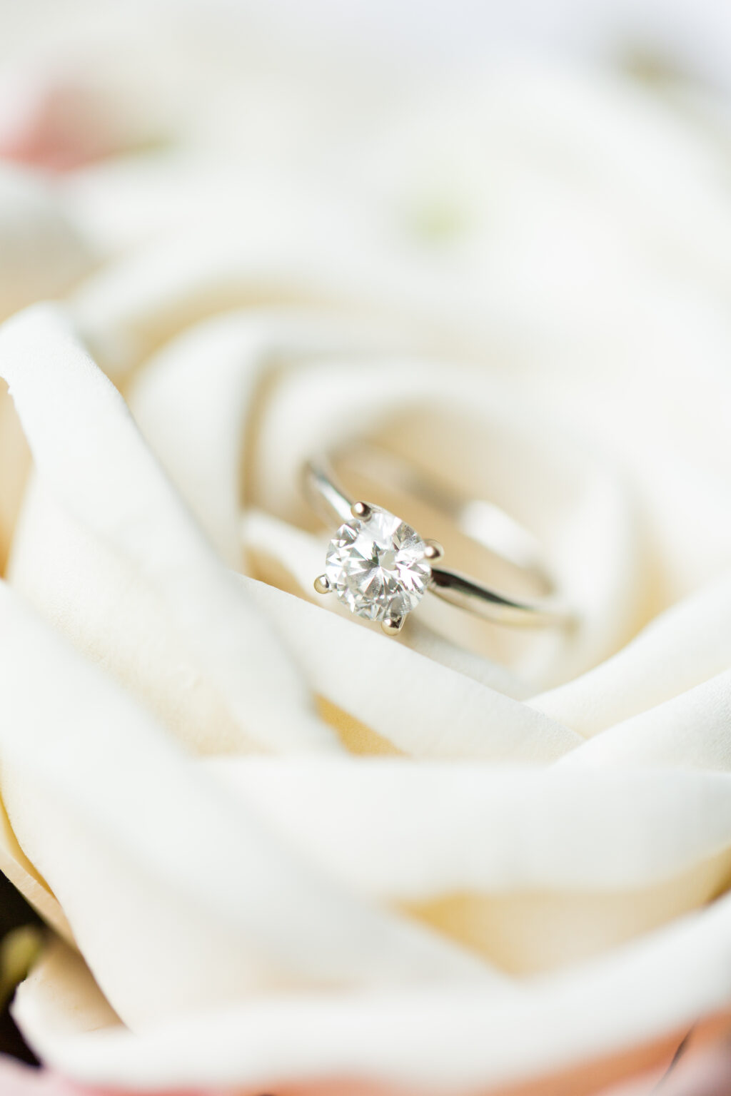 Allie & Tyler | Proctor Farm Wedding - Rome, Georgia Wedding Photographer