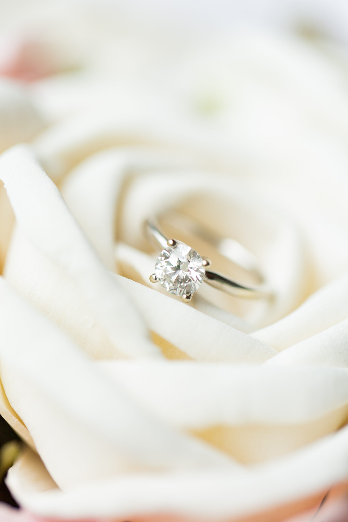 Allie & Tyler | Proctor Farm Wedding - Rome, Georgia Wedding Photographer